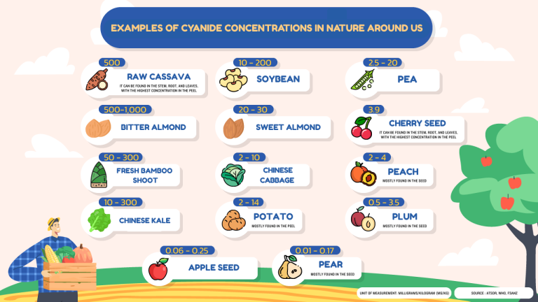 What is cyanide? Get to know the chemical that is closer to us than we ...